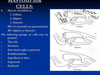 Anatomy ear | PPT