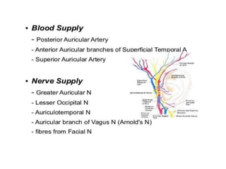 Anatomy ear | PPT