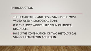 ANATOMY ELECTIVE HAEMAATOXYLIN AND EOSIN | PPT