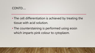 ANATOMY ELECTIVE HAEMAATOXYLIN AND EOSIN | PPTX