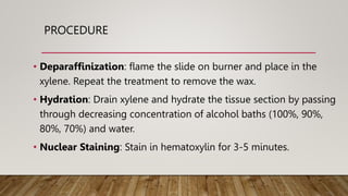 ANATOMY ELECTIVE HAEMAATOXYLIN AND EOSIN | PPT
