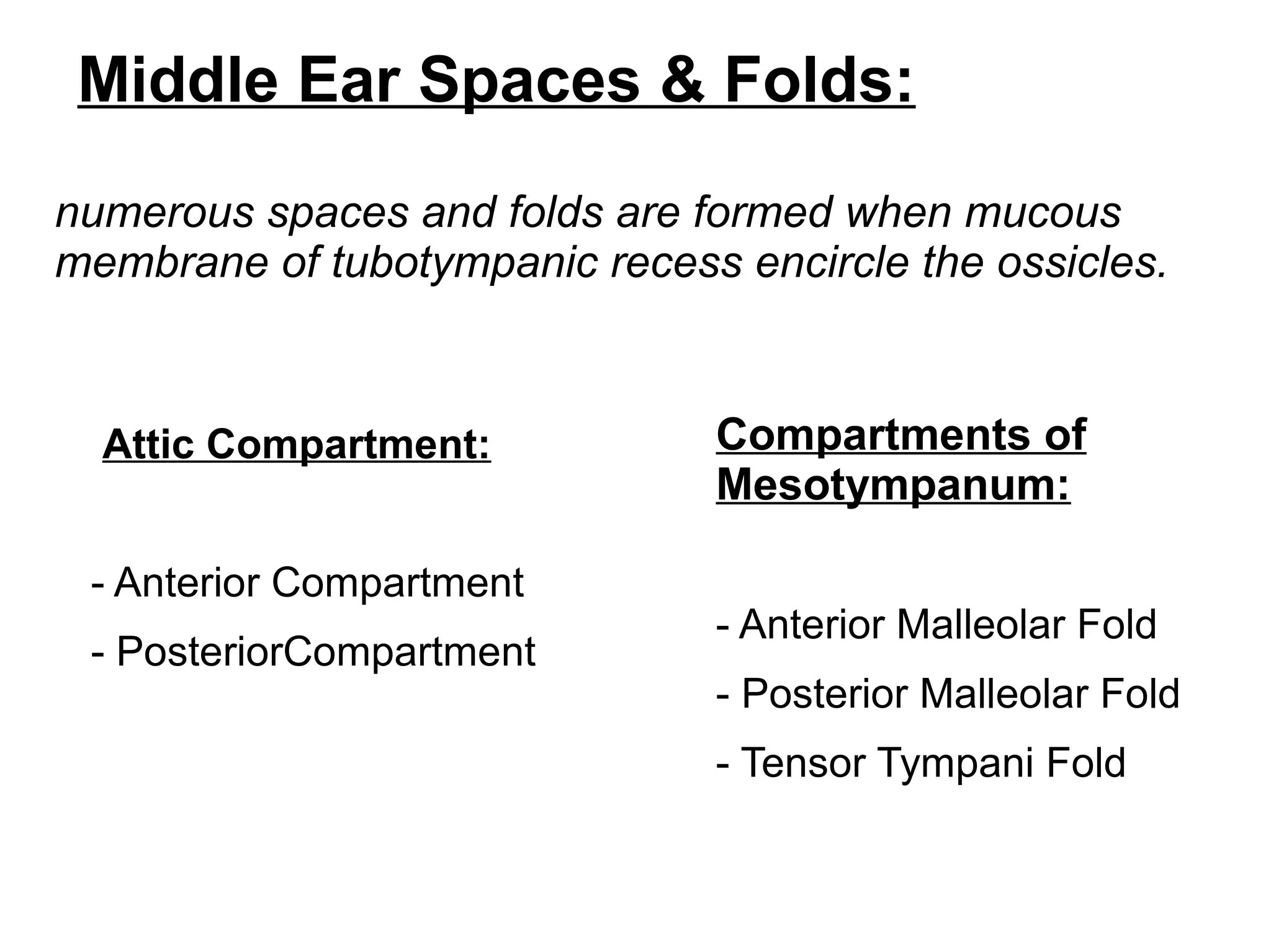 Anatomy & embryology ext ear & middle ear | ODP