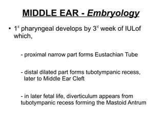 Anatomy & embryology ext ear & middle ear | ODP