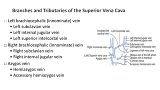 ANATOMY EMBRYOLOGY AND IMAGING OF SVC.pptx