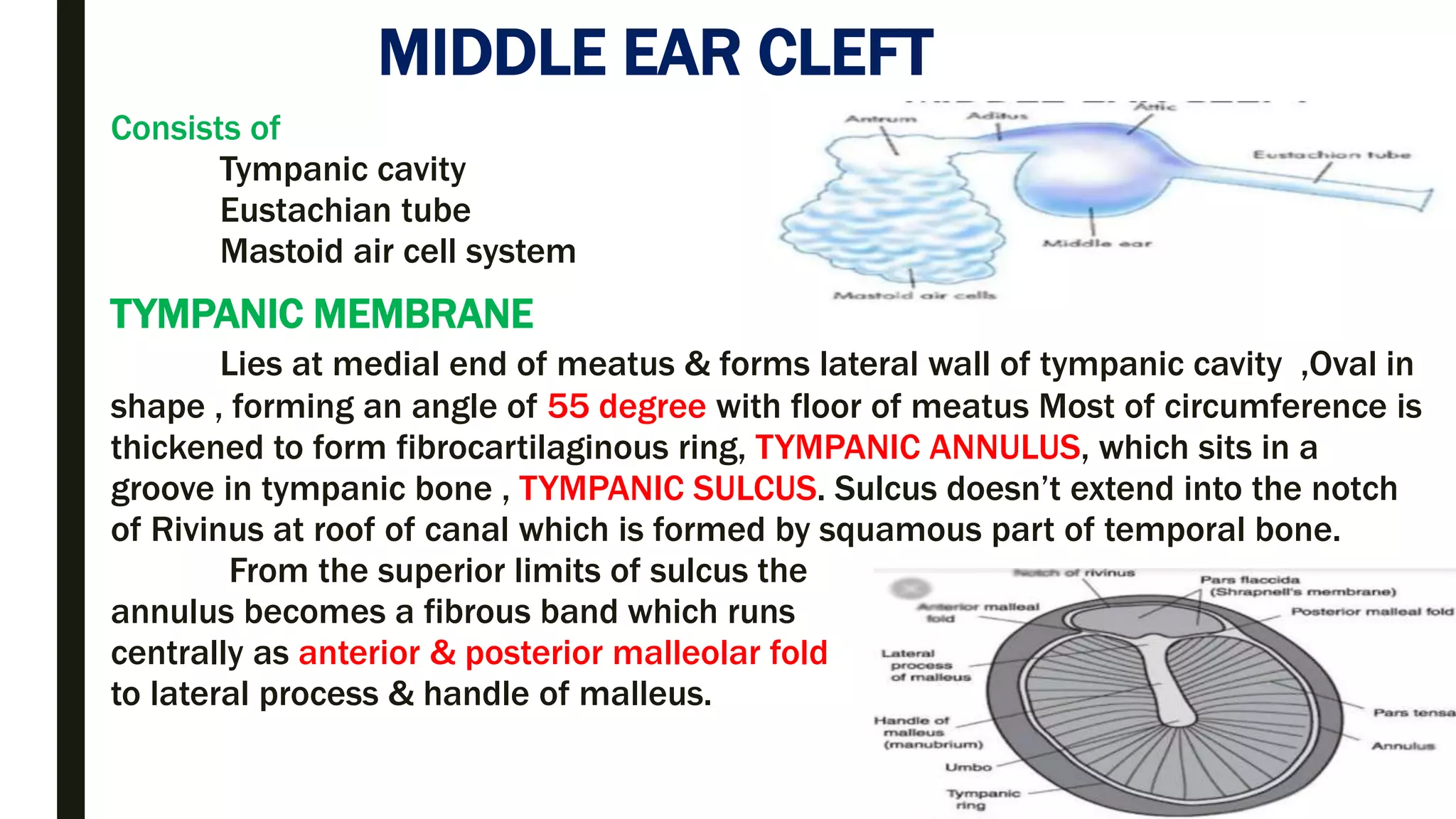 Anatomy & embryology of external & middle ear | PPTX