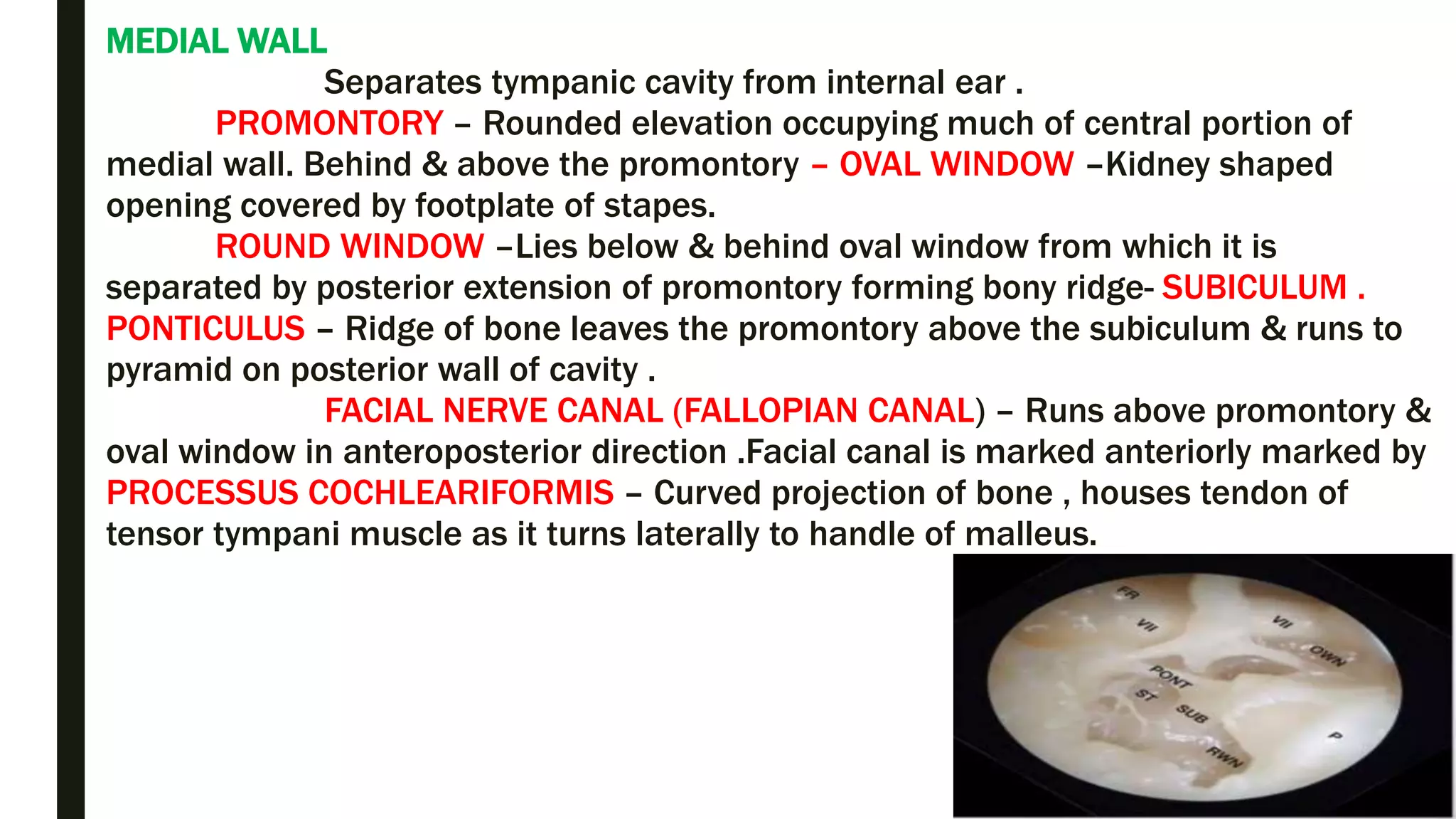 Anatomy & embryology of external & middle ear | PPTX