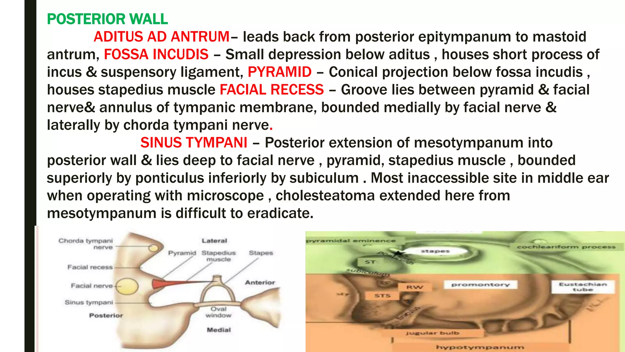 Anatomy & embryology of external & middle ear | PPTX