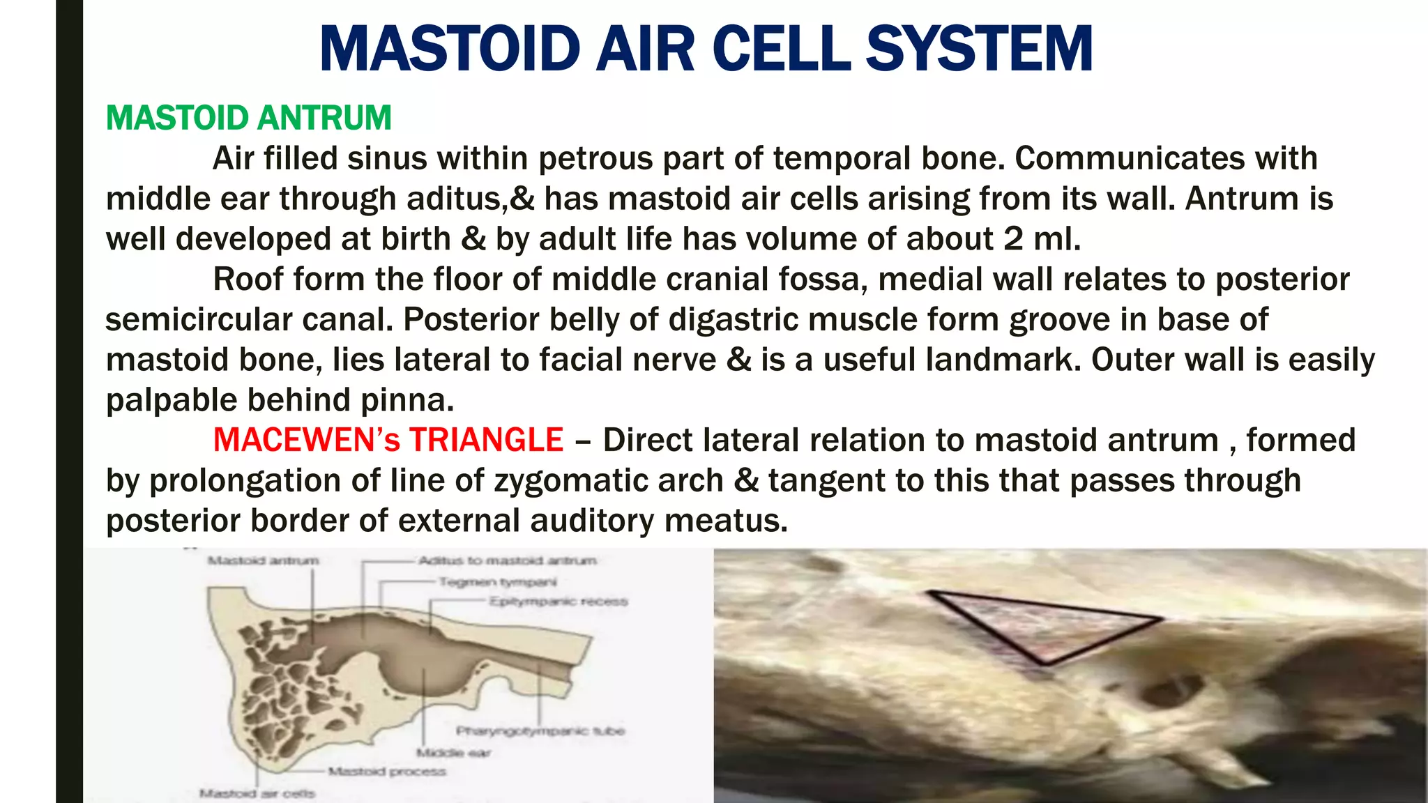Anatomy & embryology of external & middle ear | PPTX