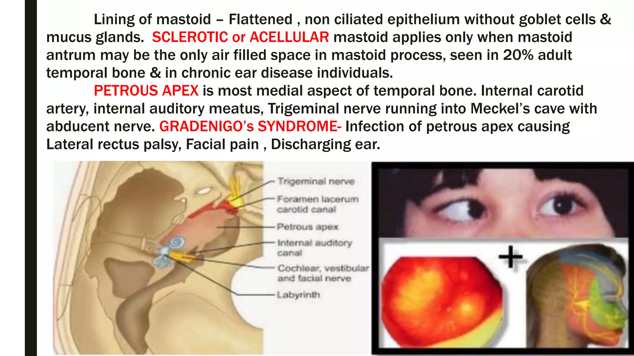 Anatomy & embryology of external & middle ear | PPTX