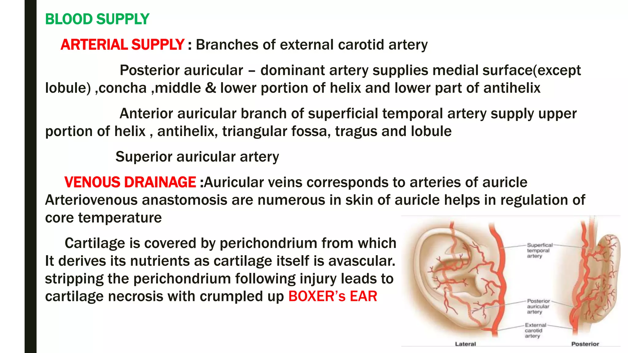 Anatomy & embryology of external & middle ear | PPTX