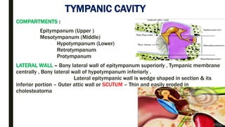 Anatomy & embryology of external & middle ear | PPT