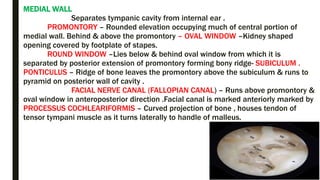 Anatomy & embryology of external & middle ear | PPT