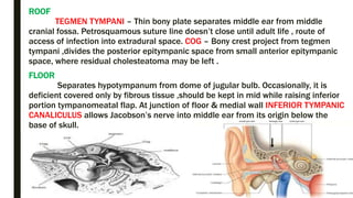 Anatomy & embryology of external & middle ear | PPT
