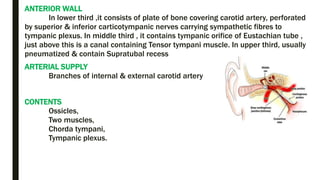 Anatomy & embryology of external & middle ear | PPTX
