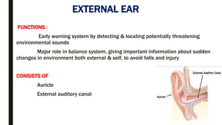 Anatomy & embryology of external & middle ear | PPT