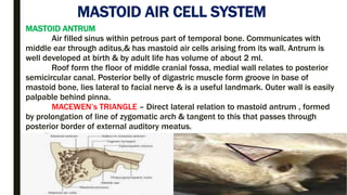 Anatomy & embryology of external & middle ear | PPT