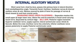Anatomy & embryology of external & middle ear | PPT