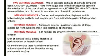 Anatomy & embryology of external & middle ear | PPT