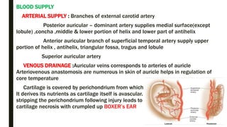 Anatomy & embryology of external & middle ear | PPT