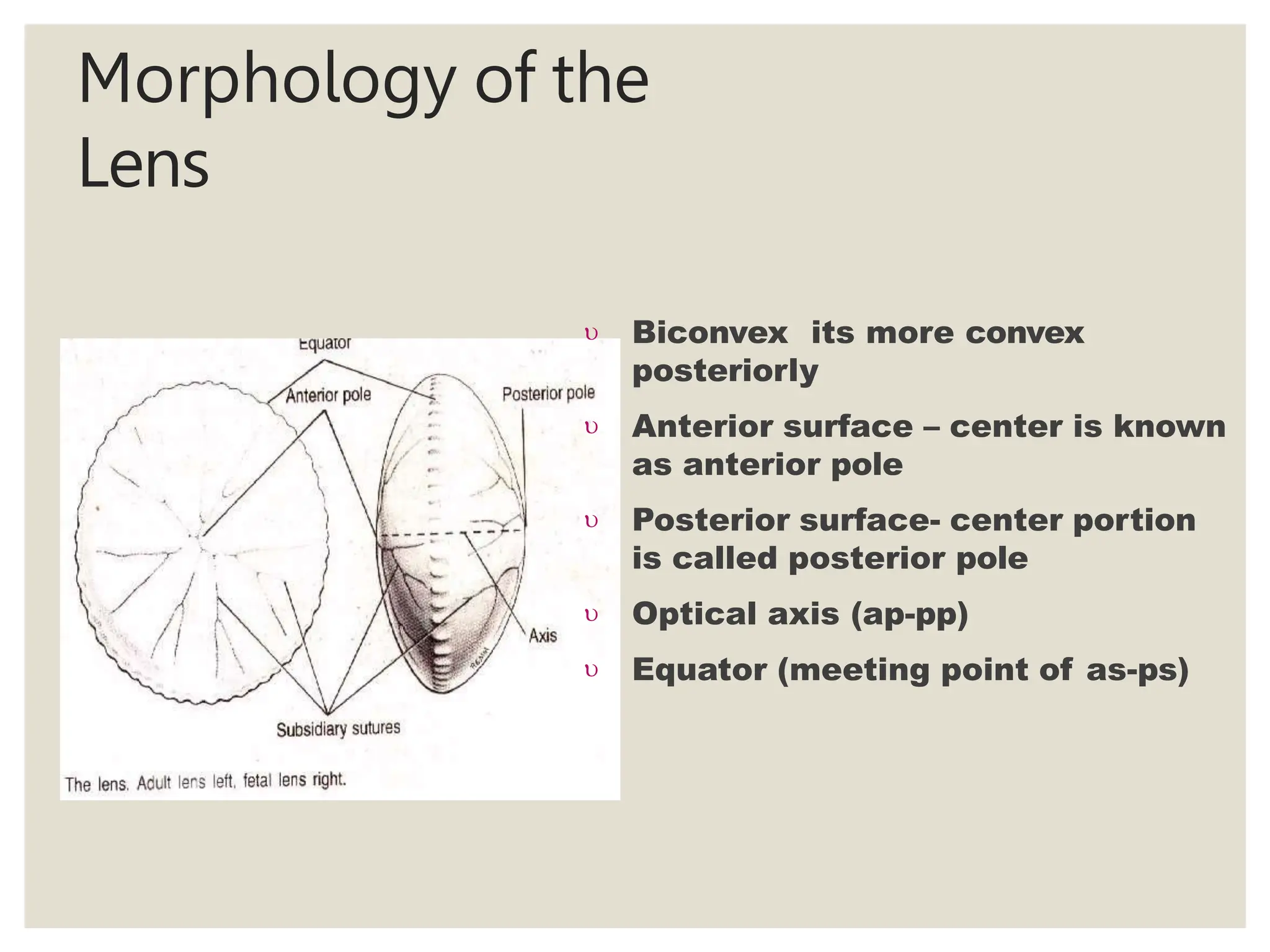 ANATOMY & EMBRYOLOGY OF LENS- Dr. Anuj Pawar.pptx
