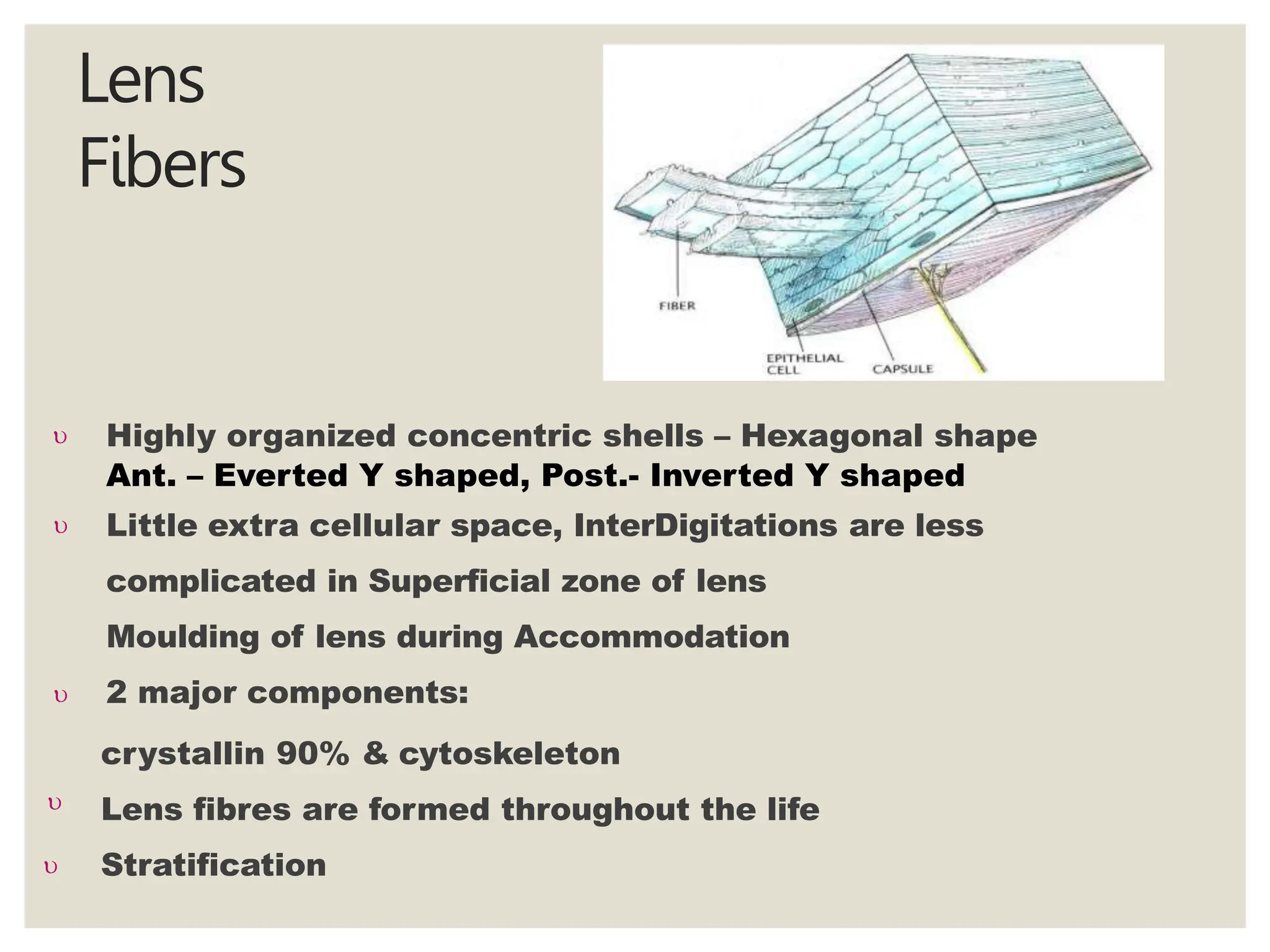 ANATOMY & EMBRYOLOGY OF LENS- Dr. Anuj Pawar.pptx