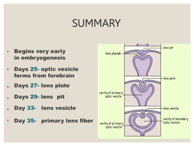 ANATOMY & EMBRYOLOGY OF LENS- Dr. Anuj Pawar.pptx