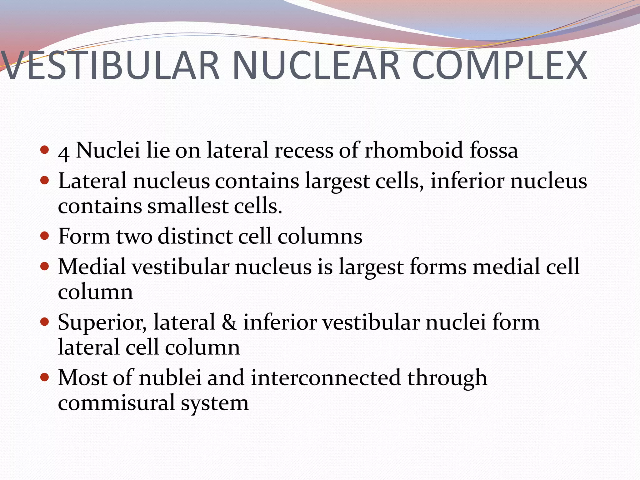 Anatomy & embryology of vestibular system | PPTX