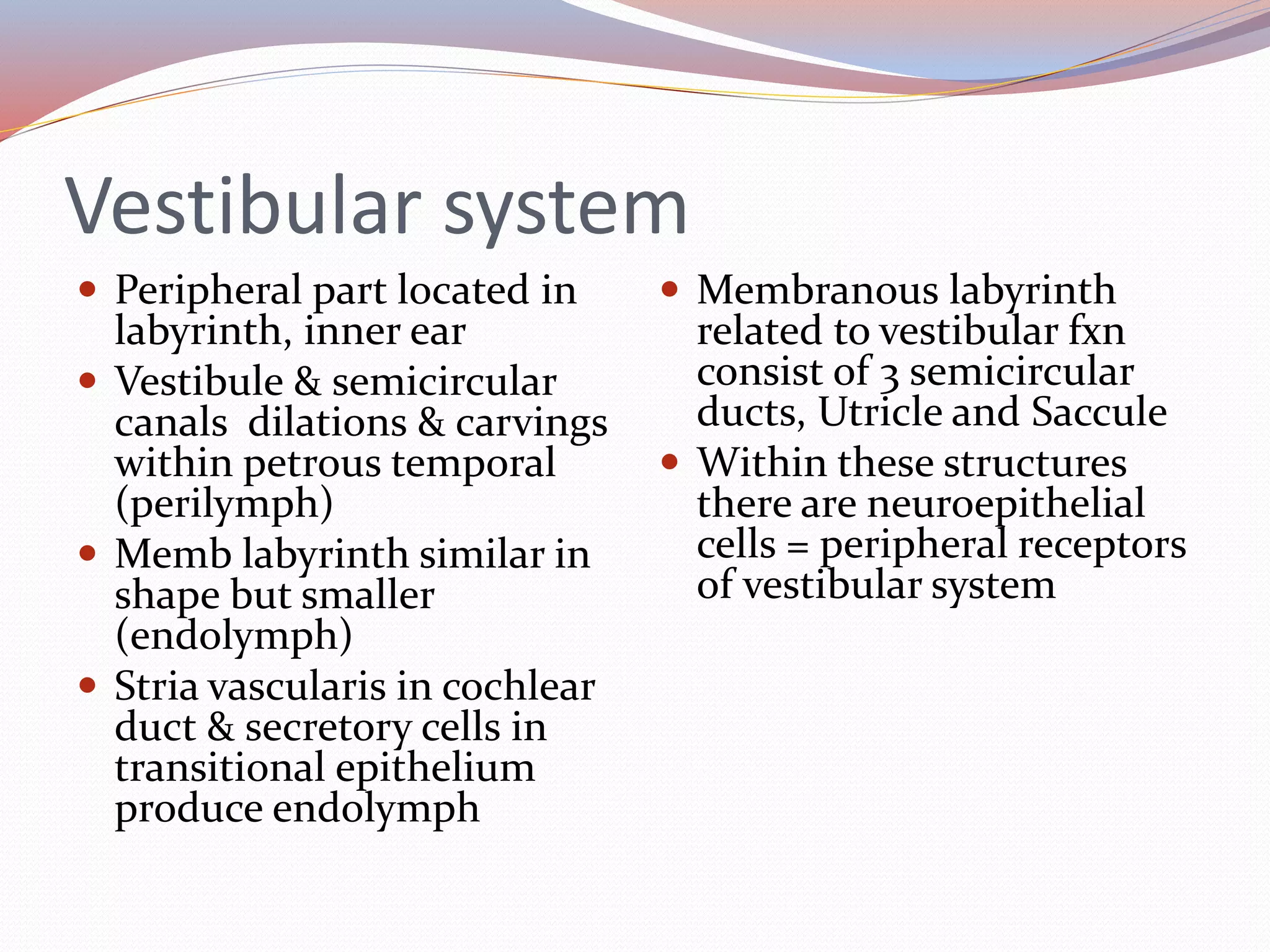 Anatomy & embryology of vestibular system | PPTX