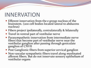 Anatomy & embryology of vestibular system | PPTX