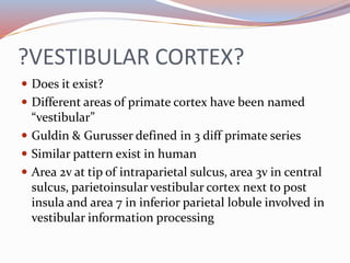 Anatomy & embryology of vestibular system | PPTX