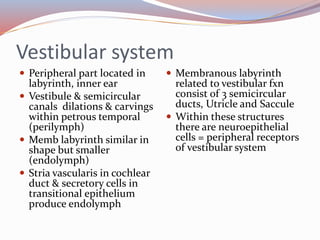 Anatomy & embryology of vestibular system | PPTX