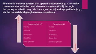 enteric nervous system ppt | PPTX