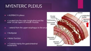 enteric nervous system ppt | PPTX