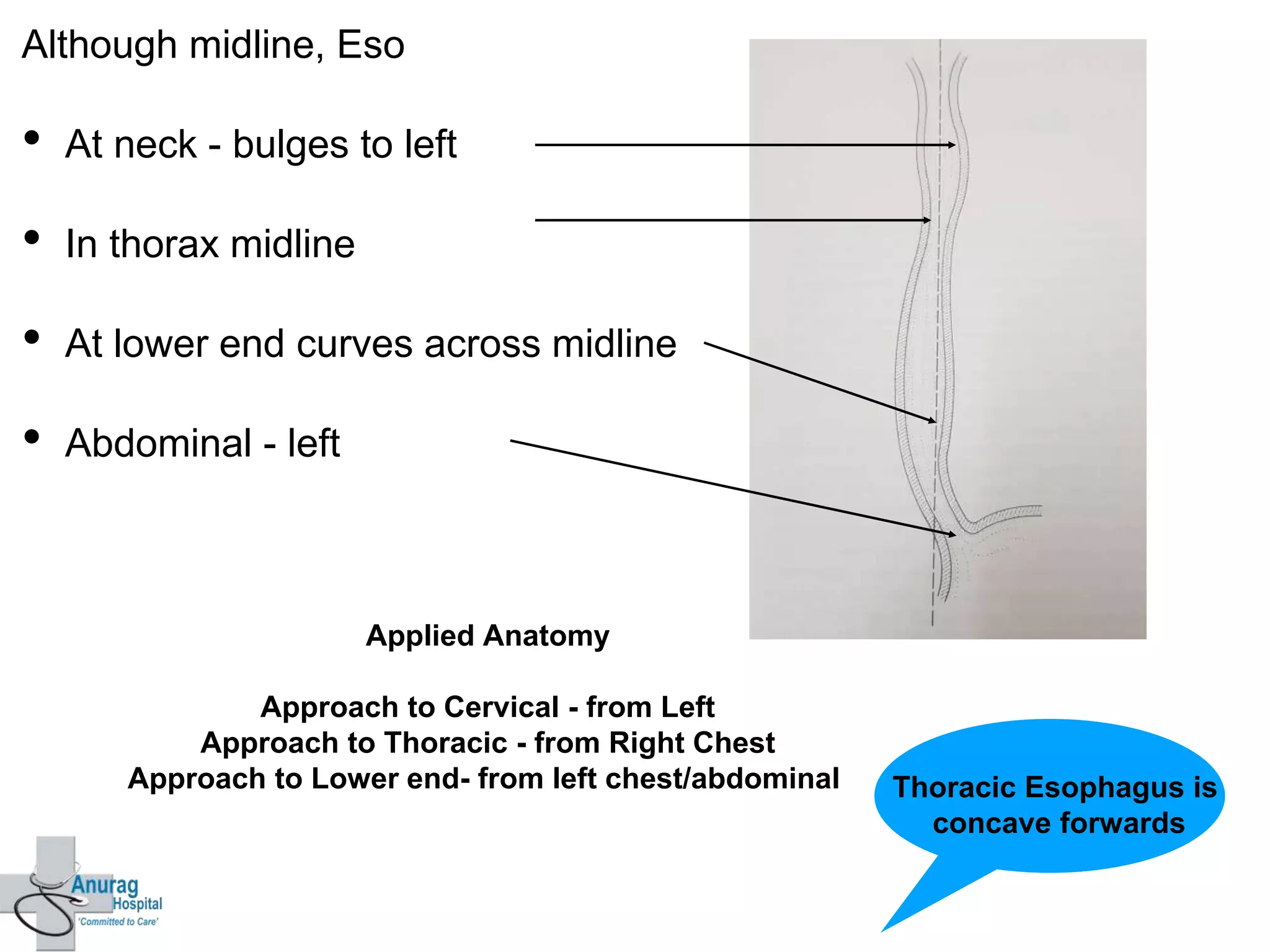 Surgical Anatomy of Esophagus | PPTX