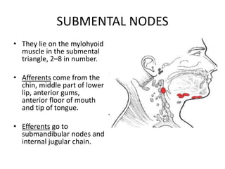 Anatomy, etiology, clinical evaluation of neck nodes | PPTX