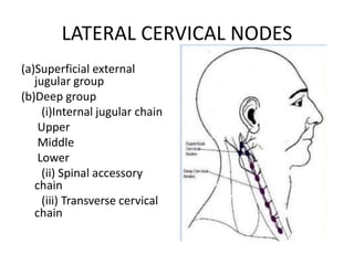 Anatomy, etiology, clinical evaluation of neck nodes | PPTX
