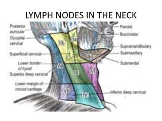 Anatomy, etiology, clinical evaluation of neck nodes | PPTX