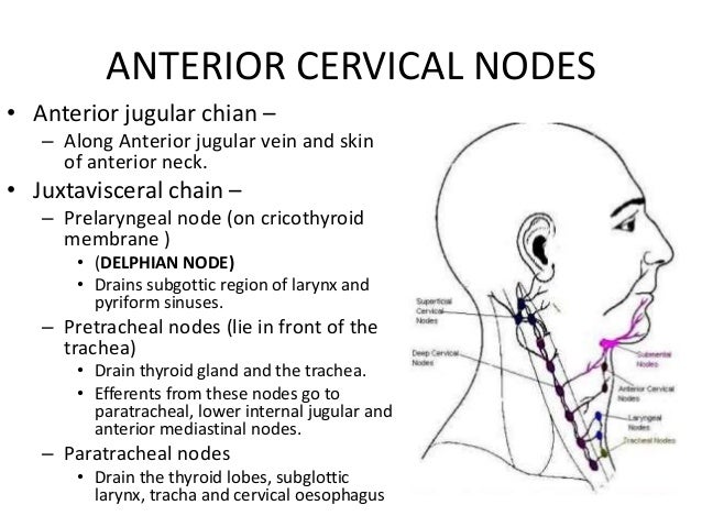 Anatomy, etiology, clinical evaluation of neck nodes