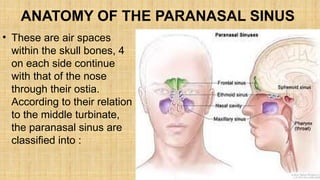 anatomy, examination of the nose for undergraduates.pptx