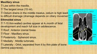 anatomy, examination of the nose for undergraduates.pptx