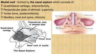 anatomy, examination of the nose for undergraduates.pptx