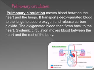 Structure of the Heart and Respiratory System | PPTX