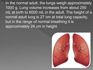 Structure of the Heart and Respiratory System | PPTX