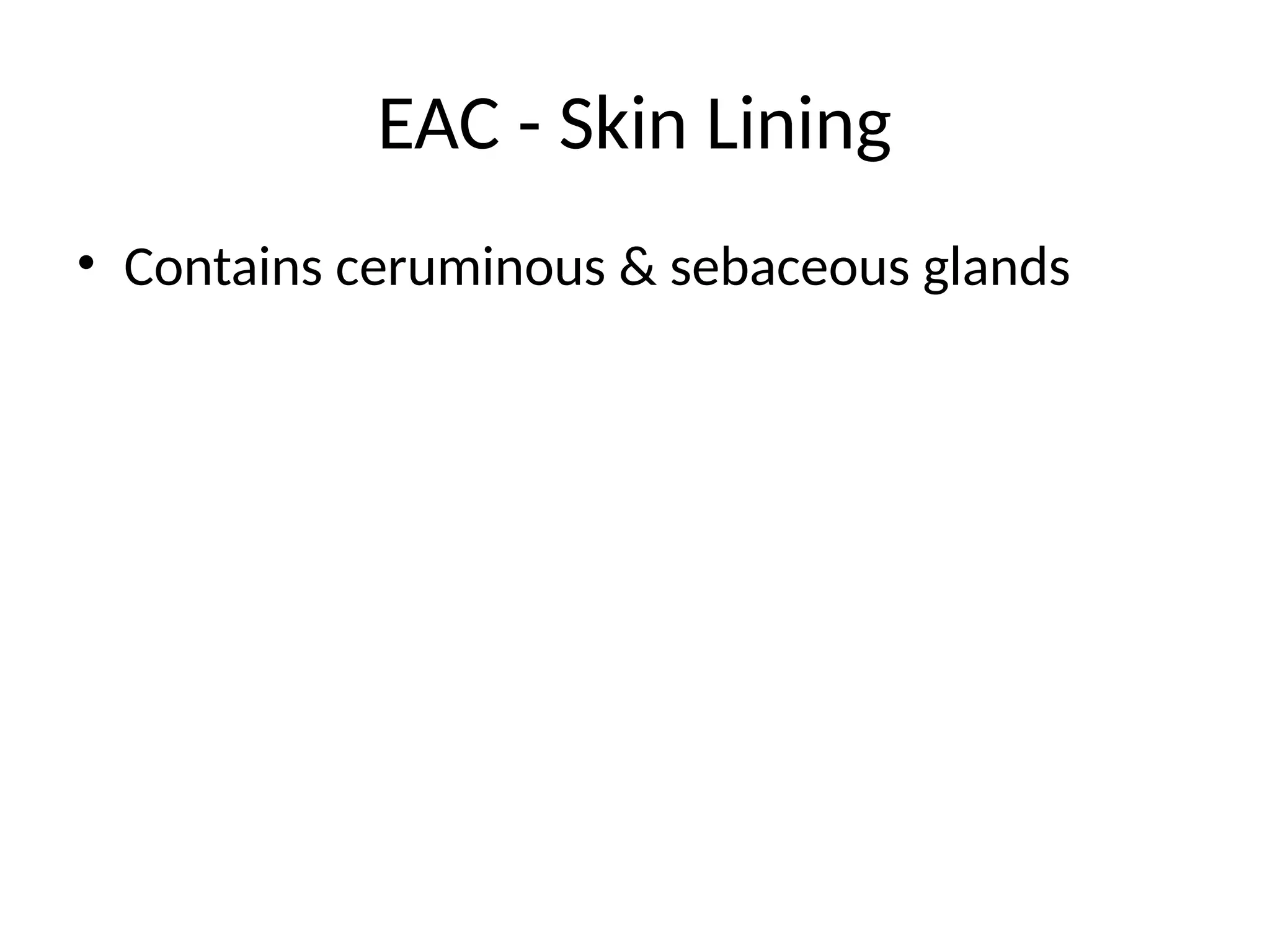Anatomy_External_Middle_Ear_Detailed.pptx