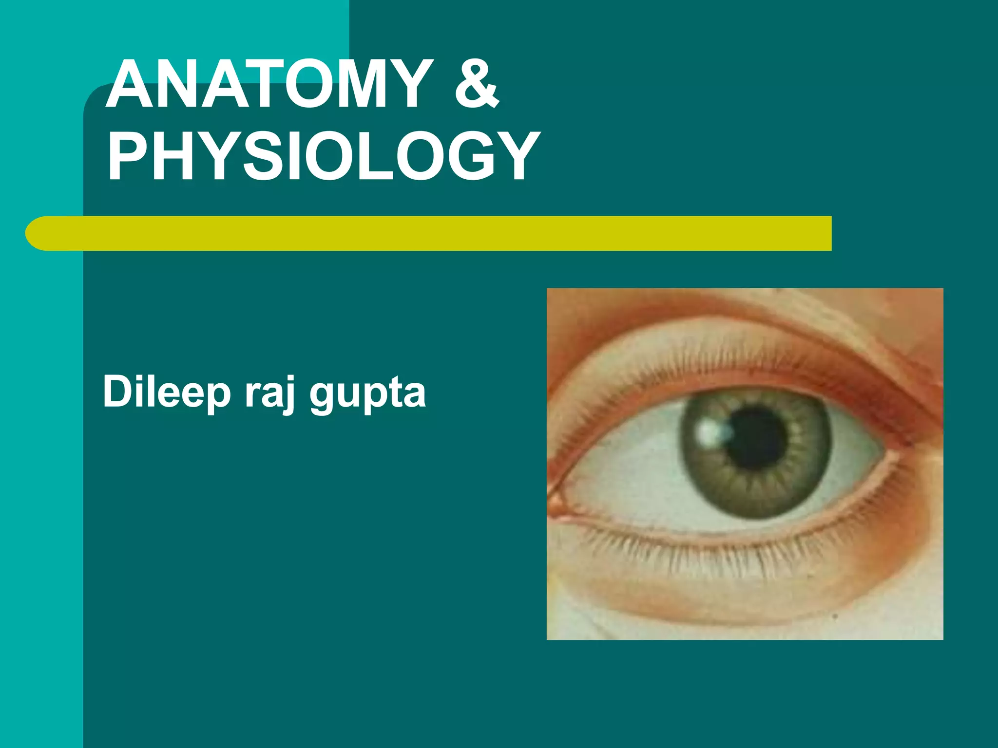 Anatomy of external as well internal eye | PPT