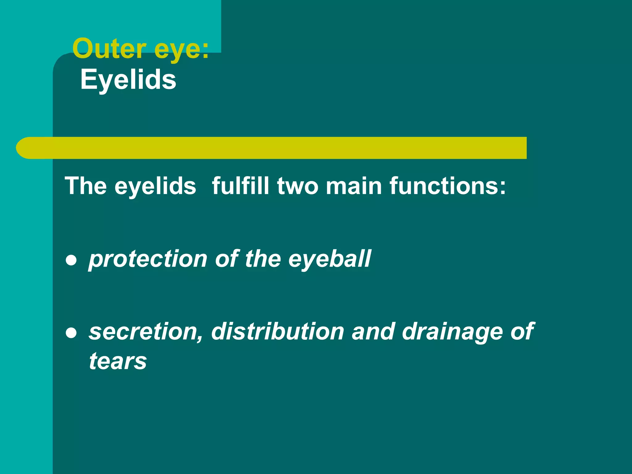 Anatomy of external as well internal eye | PPT