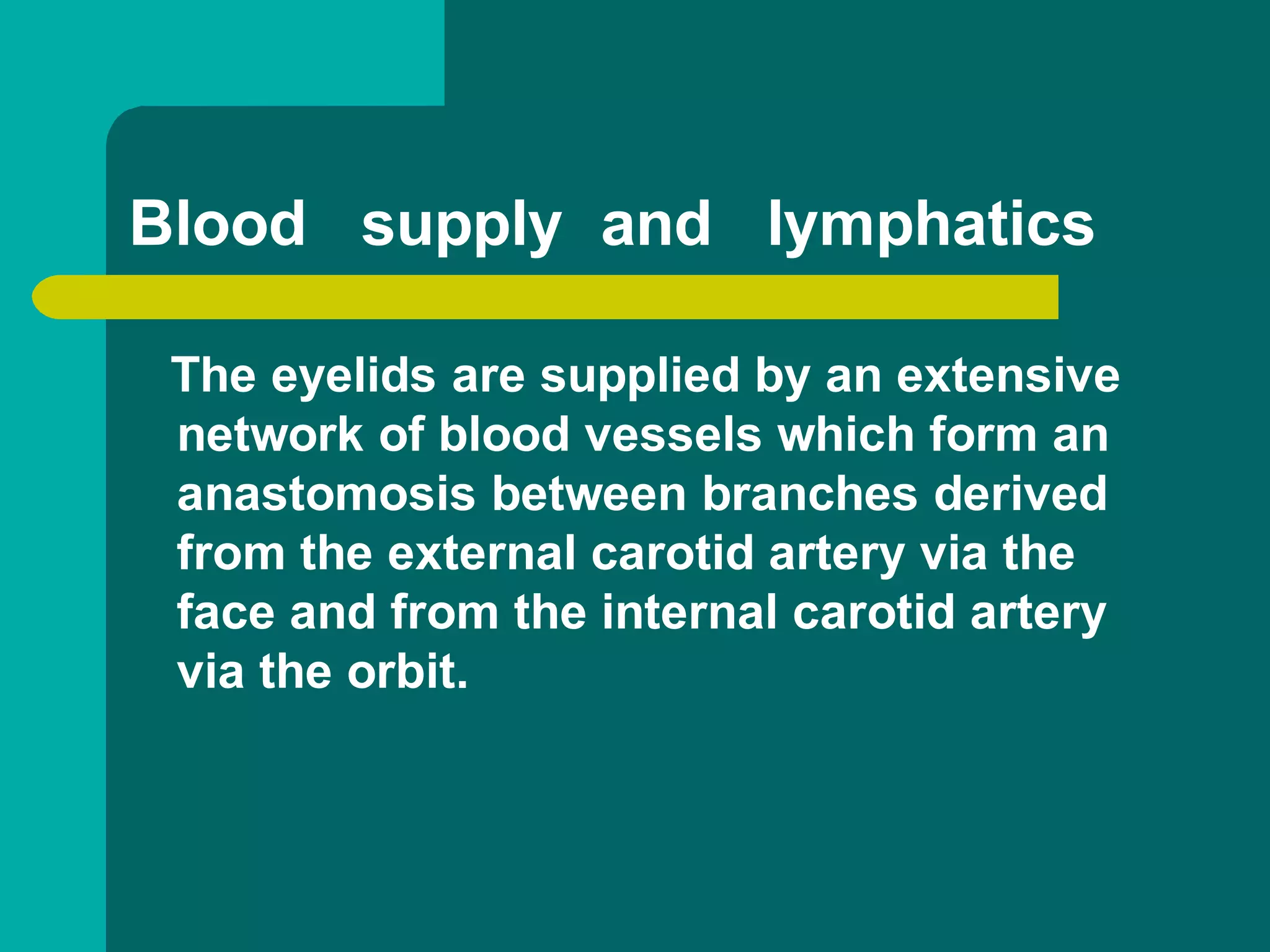 Anatomy of external as well internal eye | PPT