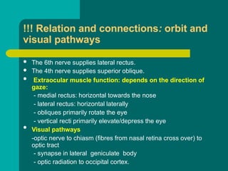 Anatomy of external as well internal eye | PPTX