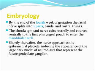 Anatomy facial nerve | PPT