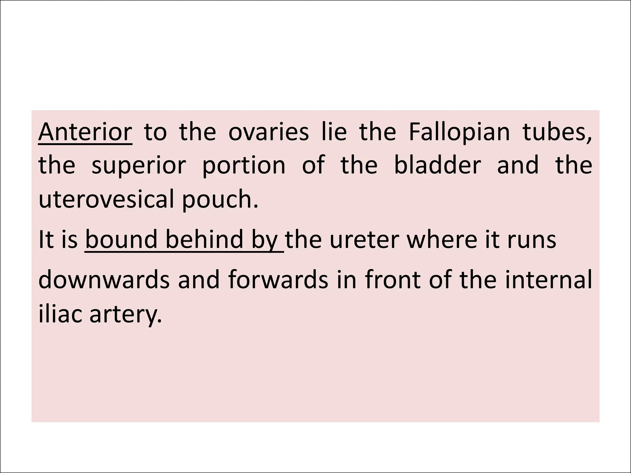 Anatomy female genital tract of external anatomy | PPT